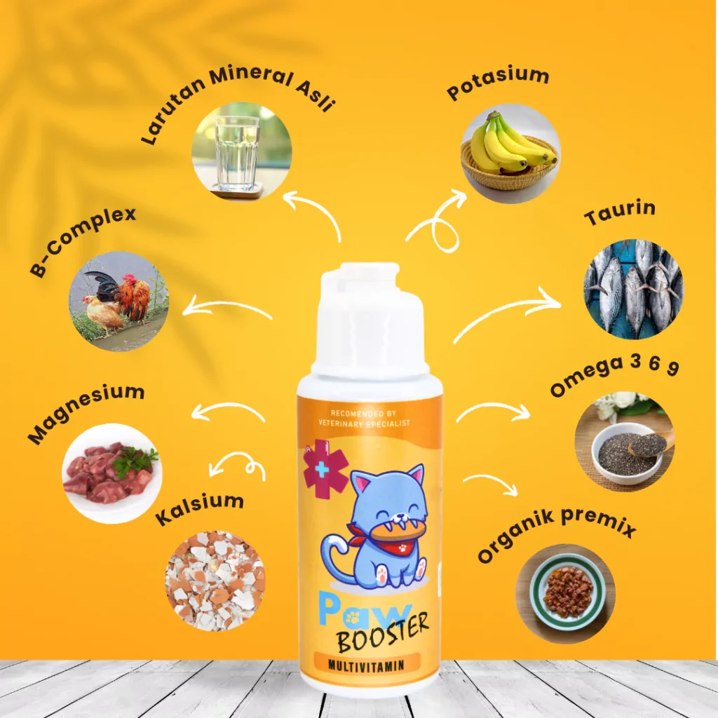 HQ PAW CARE AID KIT – RAWATAN KUCING SIHAT DAN GEBU